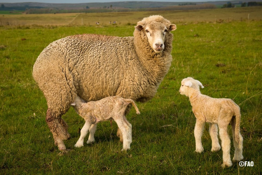 Página Principal | CAMPUS VIRTUAL